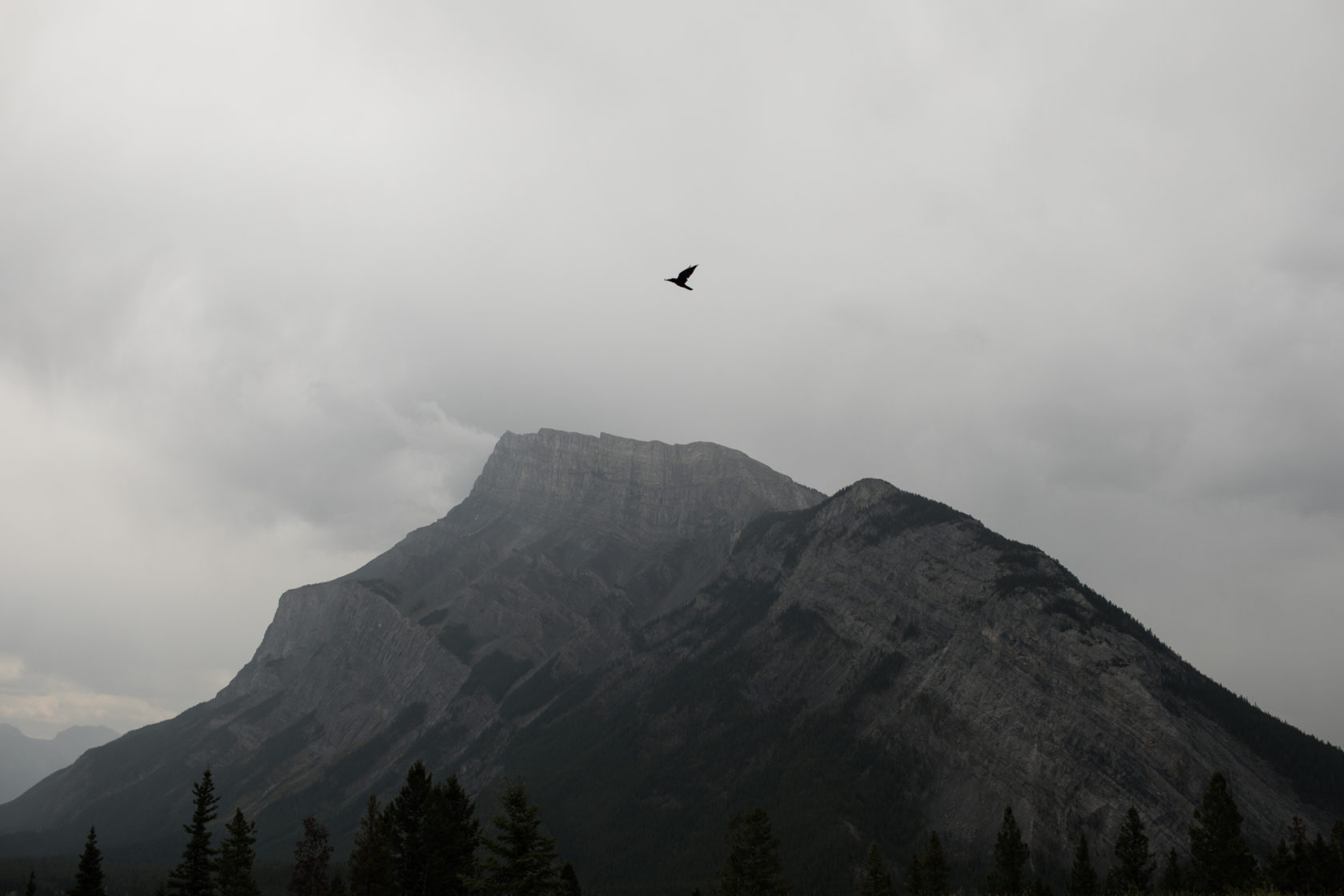 Charmaine & Craig - Banff Wedding Photographer - Willow and Wolf Banff ...