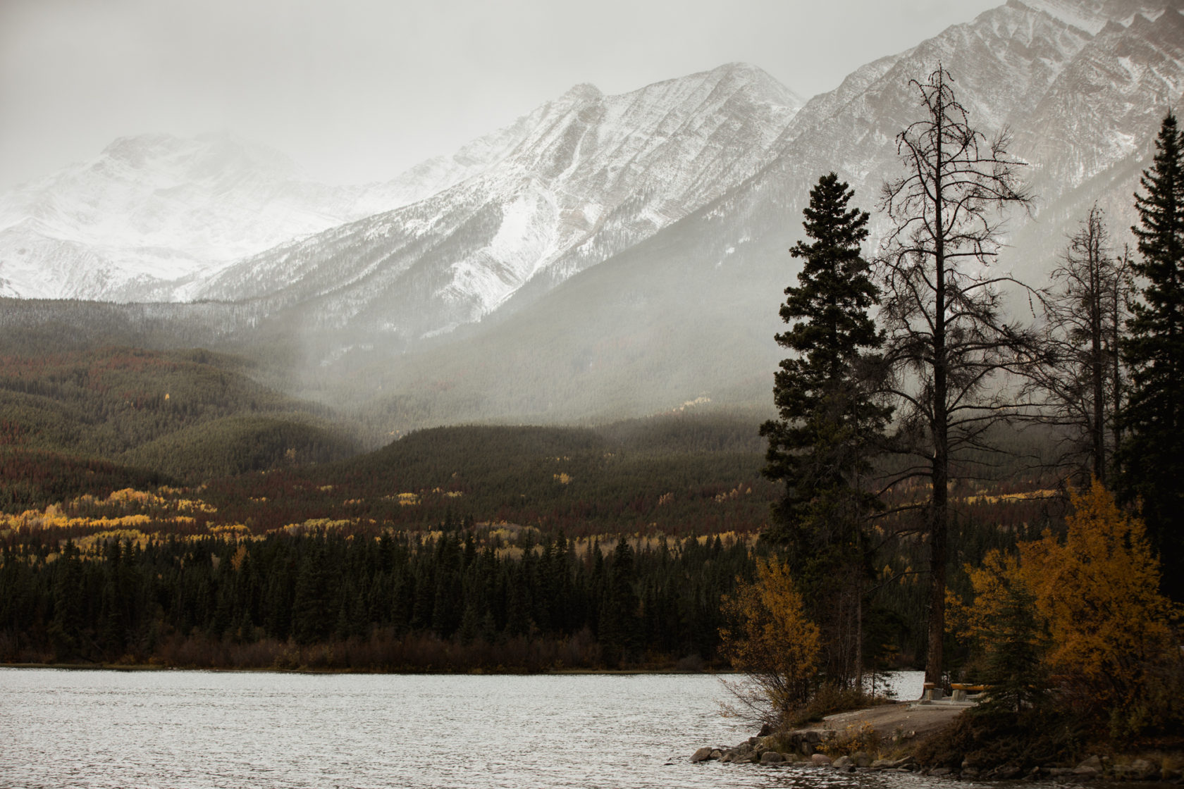 Jasper Wedding Photographer - Willow and Wolf Banff Elopement Photographers