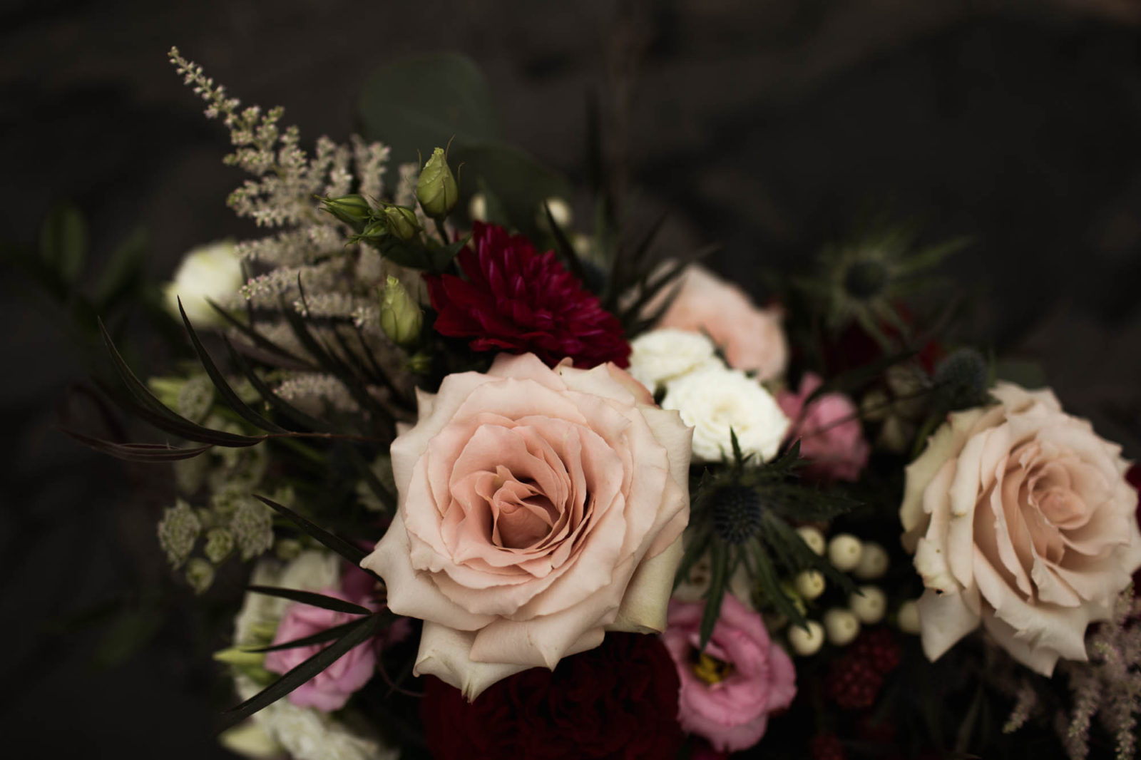 Canmore Wedding Photographer - Willow and Wolf Banff Elopement ...