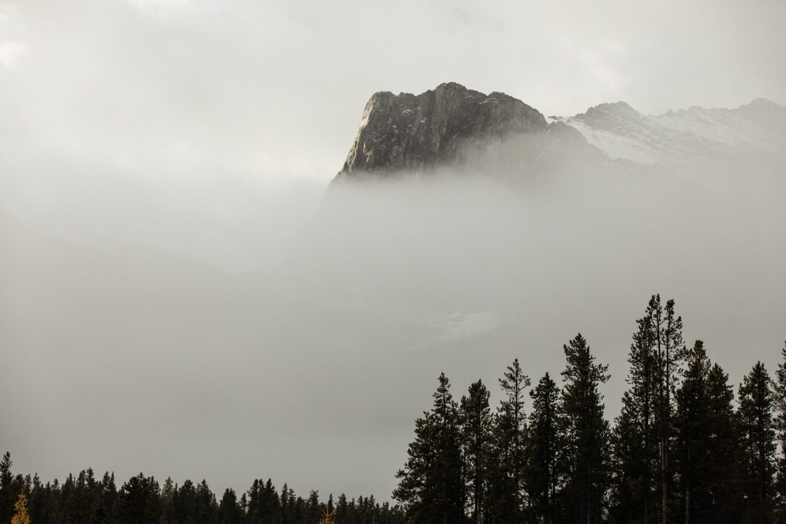 Canmore Wedding Photographer - Willow and Wolf Banff Elopement ...